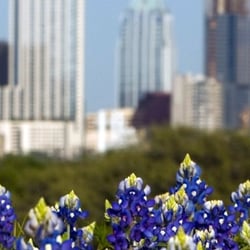 CENTRAL TEXAS INSPECTIONS - 16 Reviews - Austin, Texas - Home ...