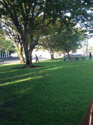 LODI SOFTBALL COMPLEX - Updated August 2025 - 401 N Stockton St, Lodi ...