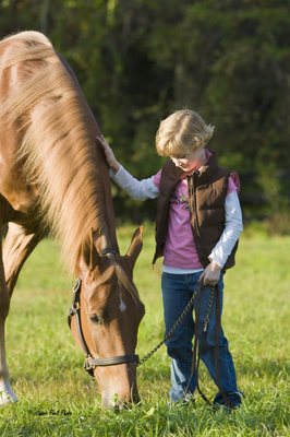 AVALON STABLES - Updated January 2026 - 44 Photos - 18029 Lake ...