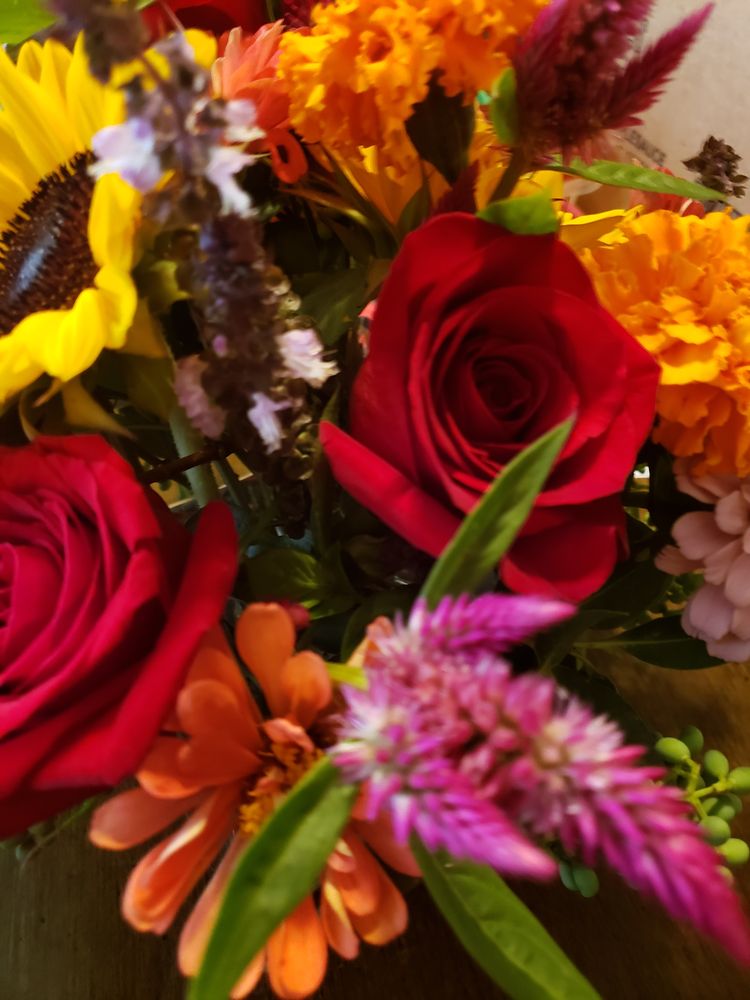 ADDY’S FLOWER FARM - Updated December 2025 - 15 Photos - 6730 Hwy 6 ...