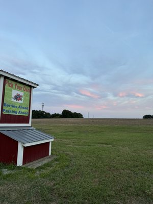 RONNIE’S BERRY FARM - Updated December 2025 - 63 Photos - 18409 NC-210 ...