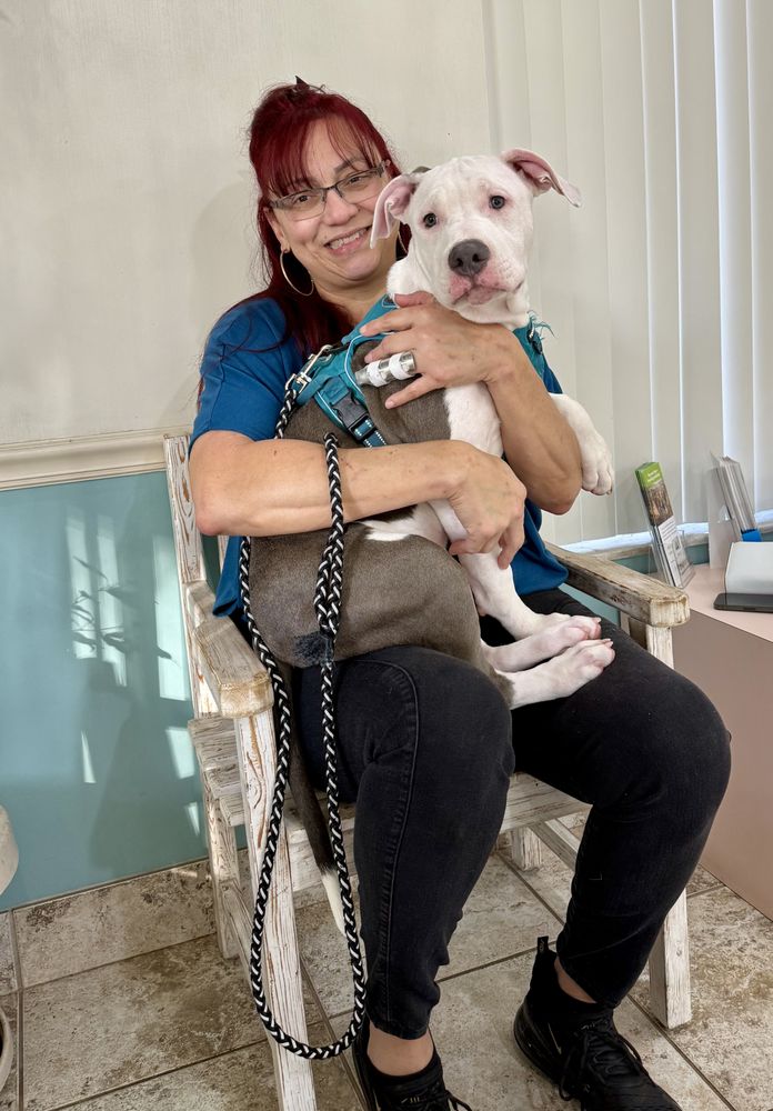 MARCUM ROAD ANIMAL HOSPITAL - Updated October 2025 - 16 Photos & 11 ...