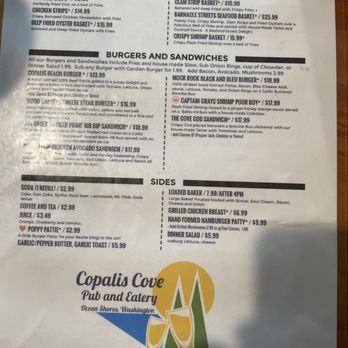 COPALIS COVE - Updated March 2025 - 27 Photos & 79 Reviews - 798 Ocean ...