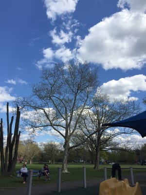 KNIGHT PARK - Updated December 2025 - 21 Photos & 10 Reviews - Collings ...