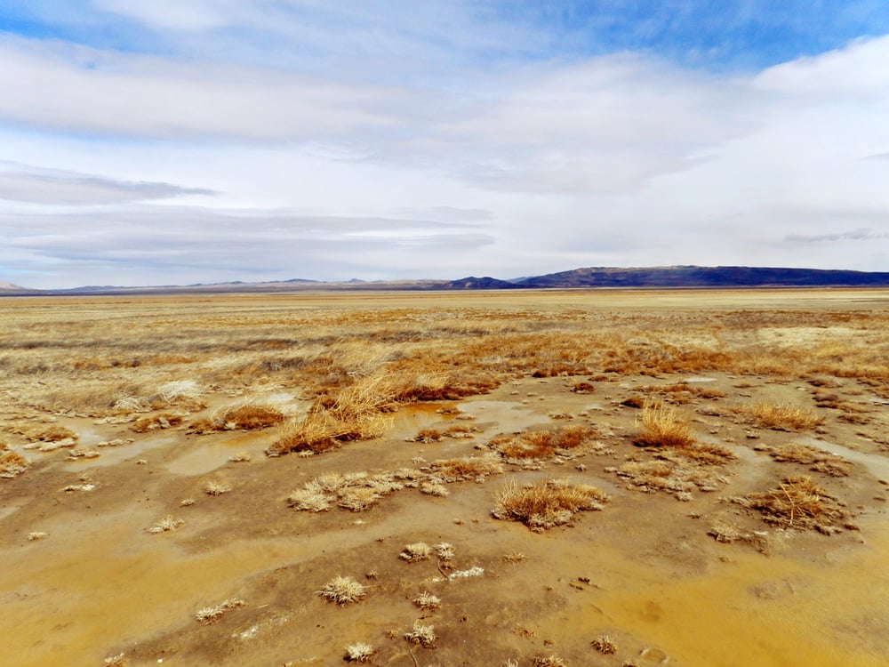 HARPER DRY LAKE MARSH - Updated September 2025 - Lockhart, California ...