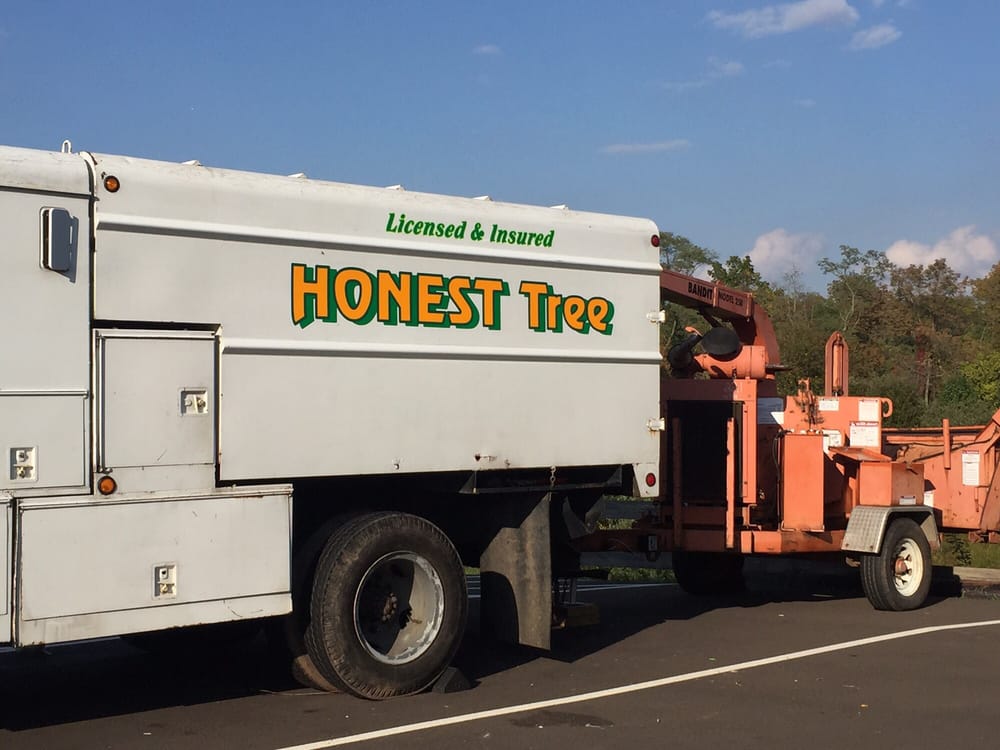 HONEST TREE SERVICE - Updated August 2025 - Montgomery County ...