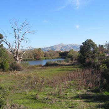 TULE PONDS AT TYSON LAGOON WETLAND CENTER - Updated October 2025 - 29 ...