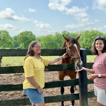 MILL RIDGE FARM - Updated October 2025 - 73 Photos & 16 Reviews - 2800 ...