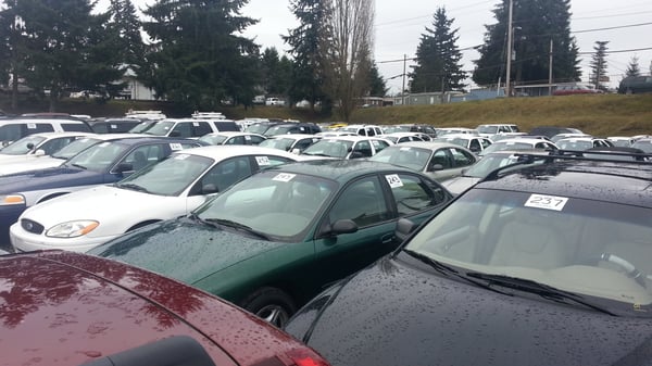 JAMES G MURPHY - Updated October 2025 - 20 Reviews - 3803 136th St NE ...