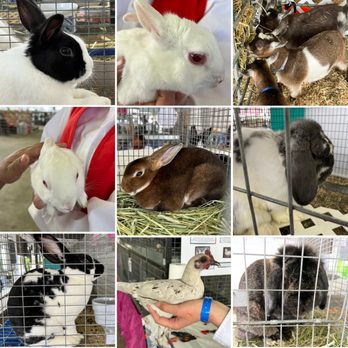 SOLANO COUNTY FAIRGROUNDS - Updated December 2025 - 177 Photos & 32 ...