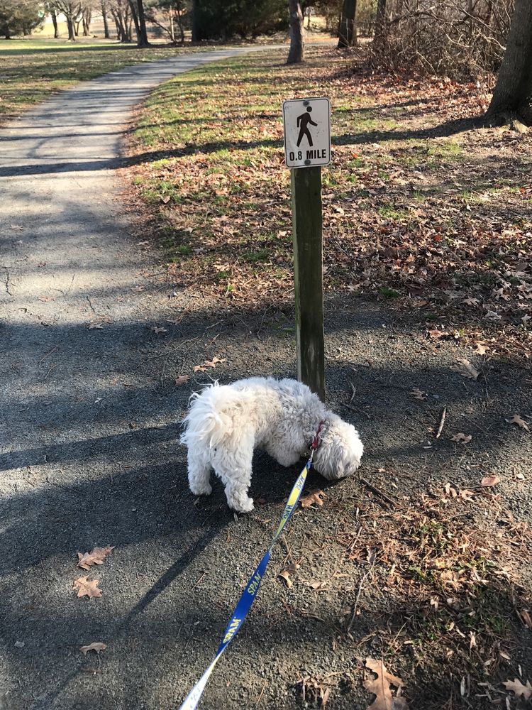 BRECKNOCK PARK - 11 Reviews - 80 Old Camden Rd, Camden, Delaware ...