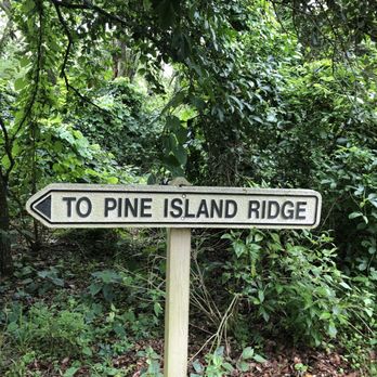 PINE ISLAND RIDGE - Updated October 2025 - 106 Photos - 9420 Live Oak ...