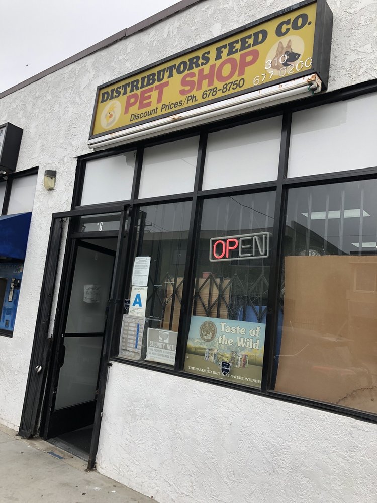 PET CLUB - Updated June 2026 - 15 Photos & 21 Reviews - 4441 Lennox ...