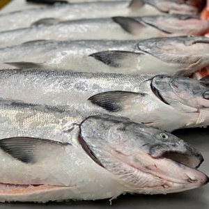 SEBASTIAN’S SEAFOOD & SPECIALTY MARKET - Updated July 2025 - 33 Photos ...