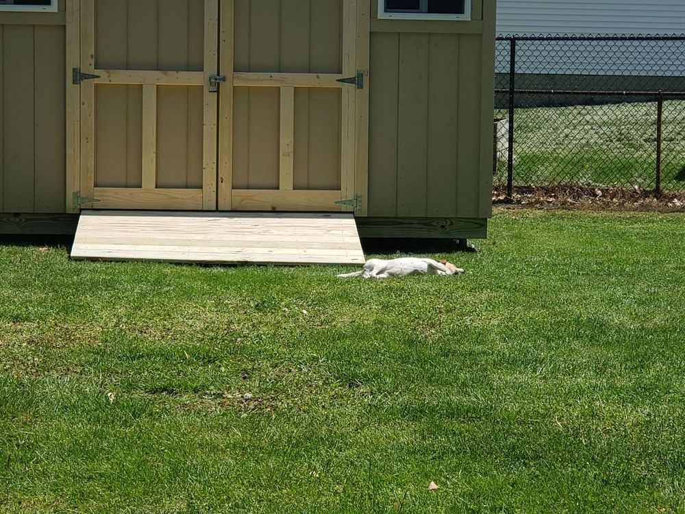 BLUE RIBBON MINI BARNS - Updated July 2025 - 20 Photos - Indianapolis ...