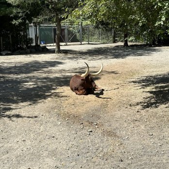 ROGER WILLIAMS PARK ZOO - Updated July 2025 - 1339 Photos & 308 Reviews ...