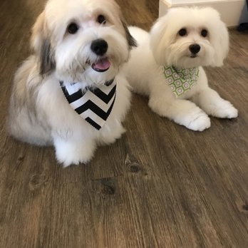 PRIMP MY PET MOBILE SPA - TEMP. CLOSED - Updated December 2025 - 112 ...