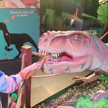 DINOSAUR OUTPOST - Updated September 2025 - 57 Photos & 29 Reviews ...