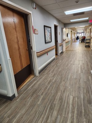 THE PEARL OF ELK GROVE - Updated December 2025 - 1920 E Nerge Rd, Elk ...