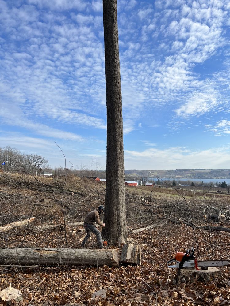 SUGARCREEK FORESTRY - Updated February 2025 - Request a Quote - Penn ...