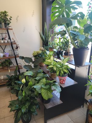 AROME FLOWER SHOP - Updated December 2024 - 18 Photos - 288 Sunrise Hwy ...