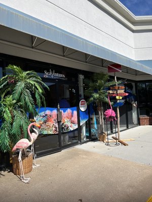 DIVENTURES - Updated July 2025 - 31 Photos & 37 Reviews - 2880 Holcomb ...