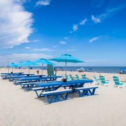 SANDBAR AMELIA ISLAND - Updated December 2025 - 530 Photos & 473 ...