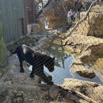 OC ZOO IRVINE REGIONAL PARK - Updated October 2025 - 111 Photos & 41 ...