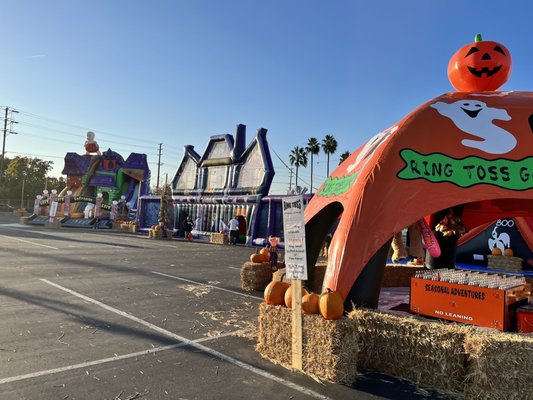 SEASONAL ADVENTURES PUMPKIN PATCH AND CHRISTMAS TREES - Updated October ...