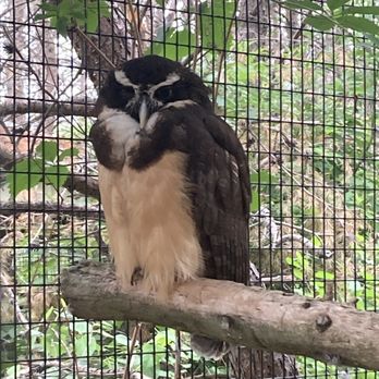 SAFARI NORTH WILDLIFE PARK - Updated October 2025 - 67 Photos & 36 ...