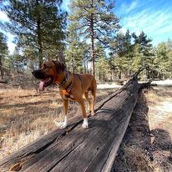 MOUNT LAGUNA OBSERVATORY - Updated December 2025 - 9197-9999 Morris ...
