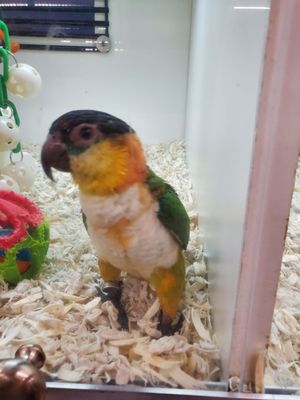 Quakertown Farmers Market - 75 Photos & 65 Reviews - Farmers Market ...