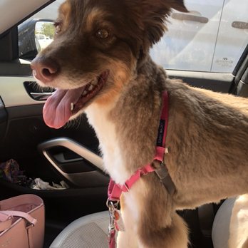 BARK ROOM - Updated December 2025 - 178 Photos & 131 Reviews - 65 S ...