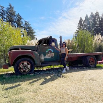 FOG WILLOW FARMS - Updated October 2025 - 484 Photos & 192 Reviews ...