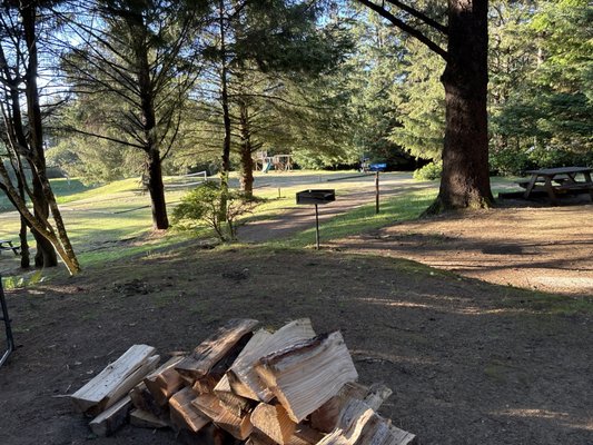 HONEY BEAR BY THE SEA RV RESORT AND CAMPGROUND - Updated July 2024 ...