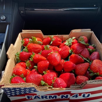 NELSON FAMILY FARMS - Updated October 2025 - 144 Photos & 99 Reviews ...