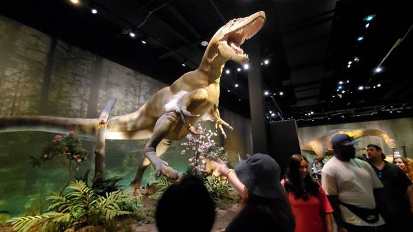 EDELMAN FOSSIL PARK & MUSEUM - Updated July 2025 - 16 Photos - 66 ...