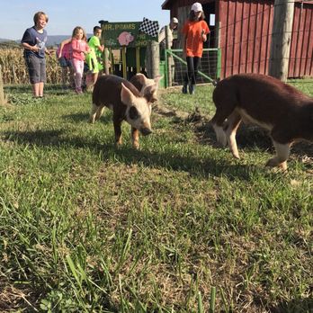 WAYSIDE FARM FUN - Updated October 2025 - 48 Photos & 16 Reviews - 5273 ...