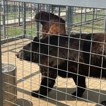 SHARKAROSA WILDLIFE RANCH - Updated January 2026 - 312 Photos & 136 ...