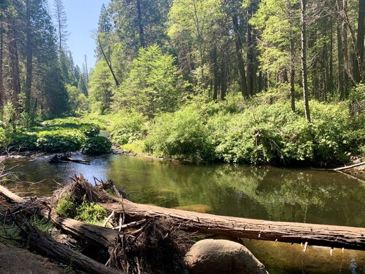 CARLON FALLS TRAIL - Updated September 2024 - 14 Photos - 32158 ...