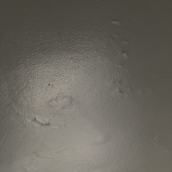 SUNNOVA - 55 Photos & 233 Reviews - Houston, Texas - Solar Installation ...