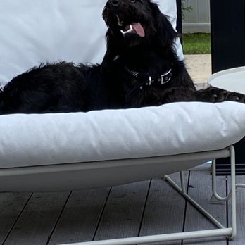 HYDRANT HOTEL - Updated December 2025 - 37 Photos & 16 Reviews - 845 ...