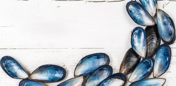 BLUE MUSSEL AESTHETICS - Updated August 2025 - Request an Appointment ...