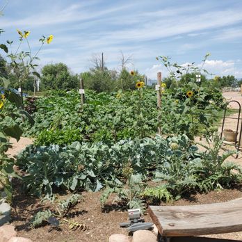 COYOTE’S COFFEE DEN - Updated January 2026 - 216 Photos & 198 Verified ...