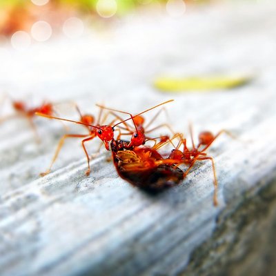 SELECT EXTERMINATING - Updated December 2025 - 59 Photos & 34 Reviews ...