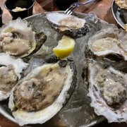 HALF SHELL OYSTER HOUSE - 414 Photos & 320 Reviews - Seafood - 115 ...
