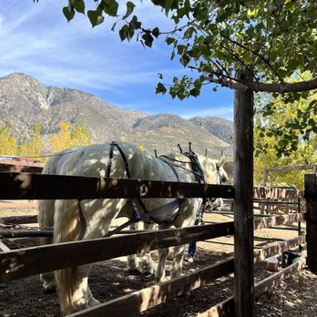 OAK TREE MOUNTAIN - Updated October 2024 - 589 Photos & 143 Reviews ...