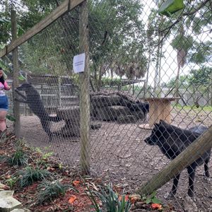 EVERGLADES OUTPOST - 365 Photos & 96 Reviews - 35601 SW 192nd Ave ...