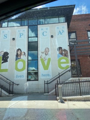 RICHMOND SPCA - 48 Photos & 53 Reviews - 2519 Hermitage Rd, Richmond ...