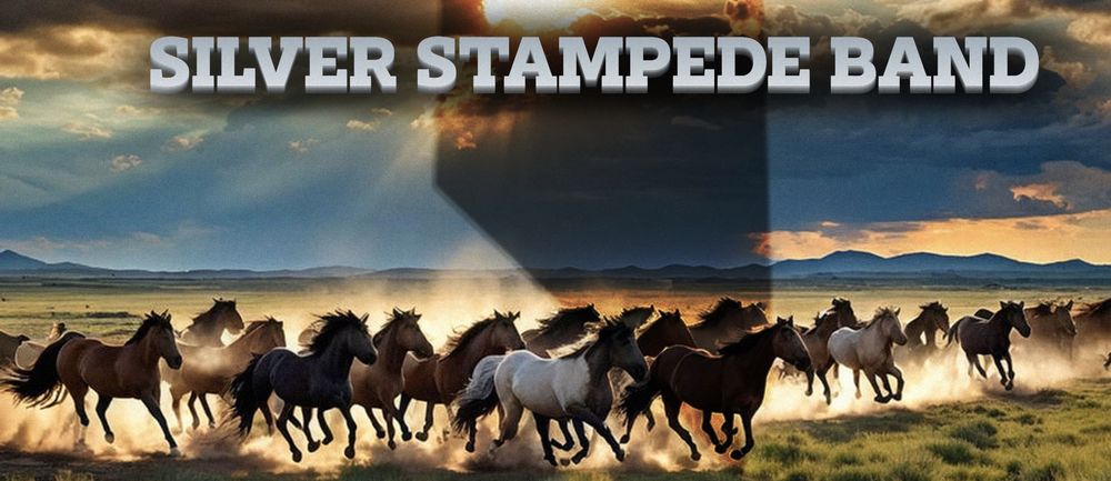 SILVER STAMPEDE BAND - Updated August 2024 - Request a Quote - 7600 S ...